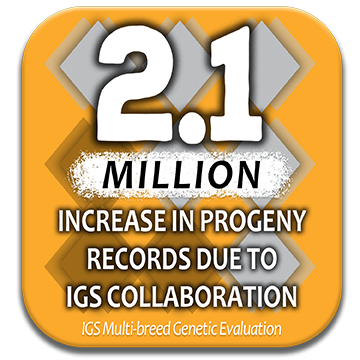 Multi-breed Genetic Evaluation